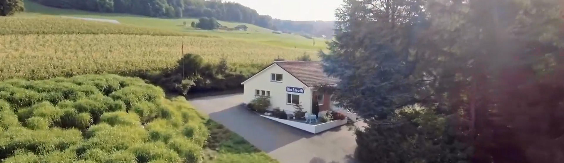 Strath® - Η εταιρία